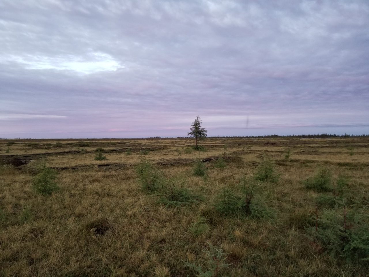 Canoe adventure on the Seal River - Prairie Summit Shop